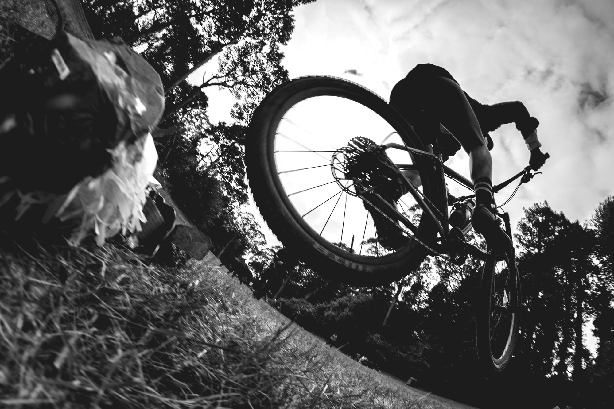 MASH SF – 2019 SHOP ANNIVERSARY PHOTOS – Wheel Talk